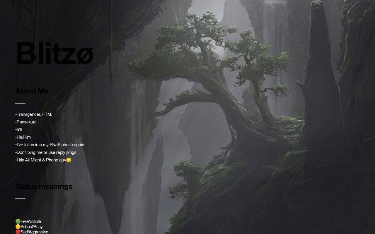 About Blitzo